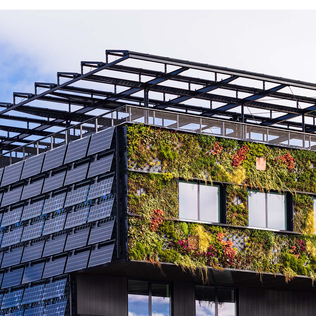 Green School: quando gli edifici scolastici diventano sostenibili ...